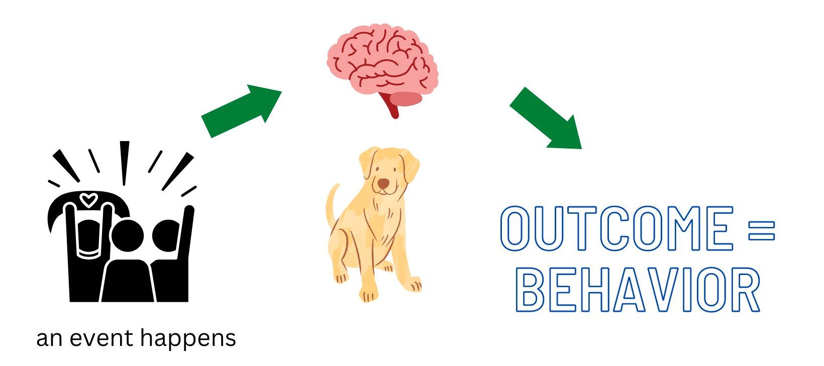 How does Concept Training Through Games work? – Pawsome Connection Dog ...
