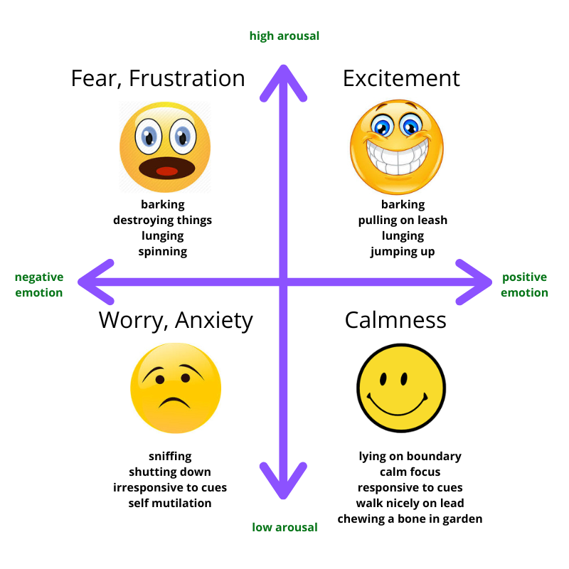 CALM is a Way of Life – Pawsome Connection Dog Training & Behavior